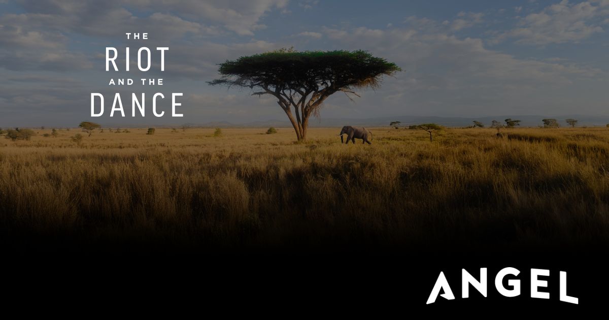 Pay it Forward for The Riot and the Dance on Angel