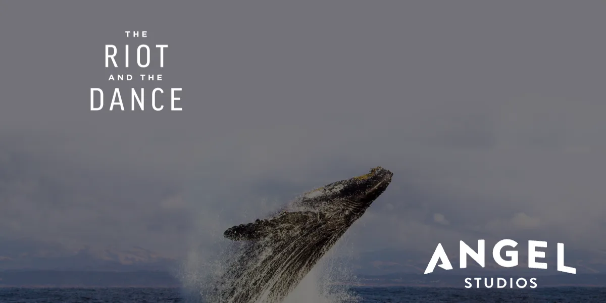 Watch The Riot and the Dance | The Riot and the Dance: Water on Angel ...