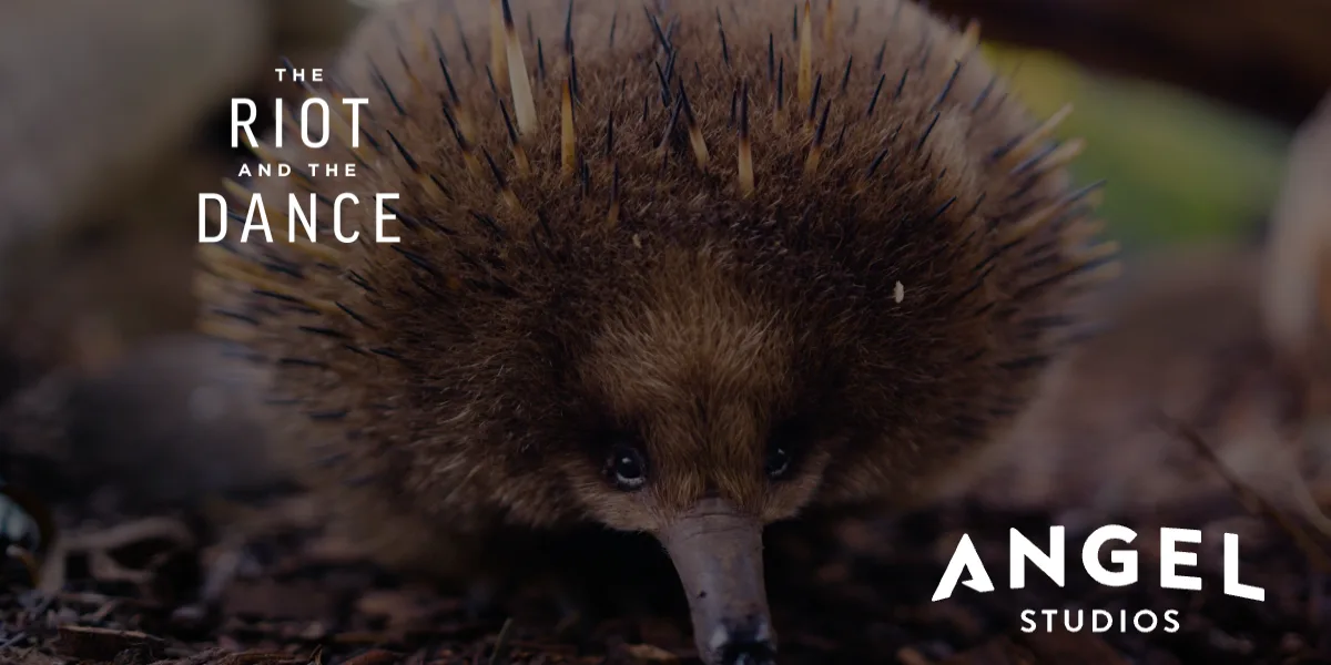 Watch The Riot and the Dance Season 1 Episode 3: Down Under Down Under ...