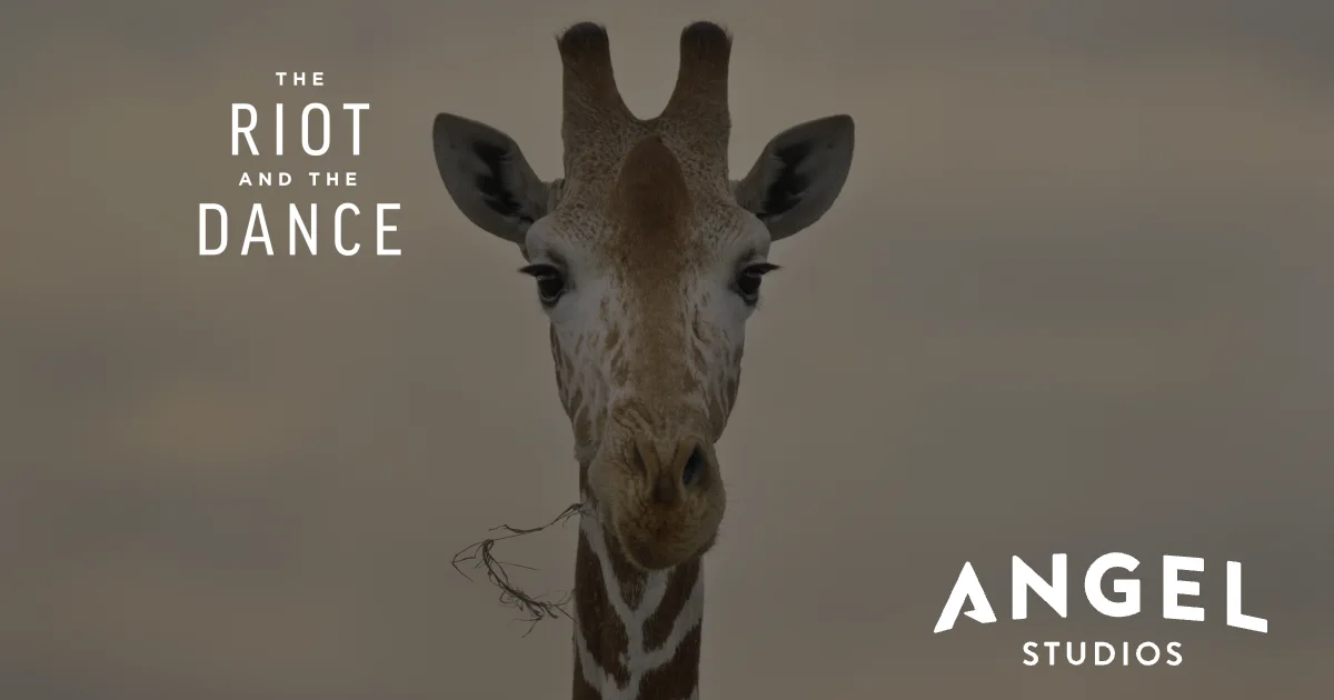 Watch The Riot and the Dance Season 1, Episode 1: Welcome to Africa on ...