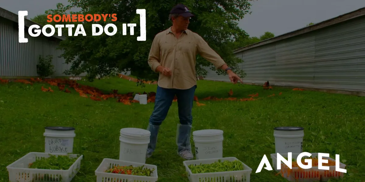Watch Somebody's Gotta Do It S1E3: Mennonite Chicken on A...