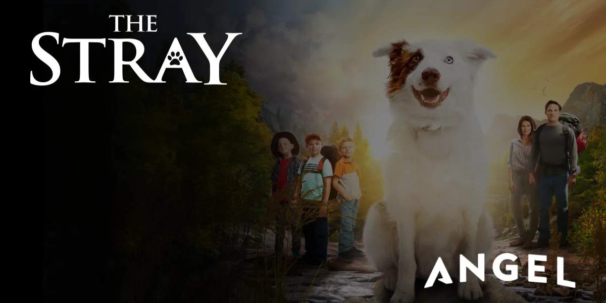 The Stray | Now Streaming for Angel Guild Members | Angel