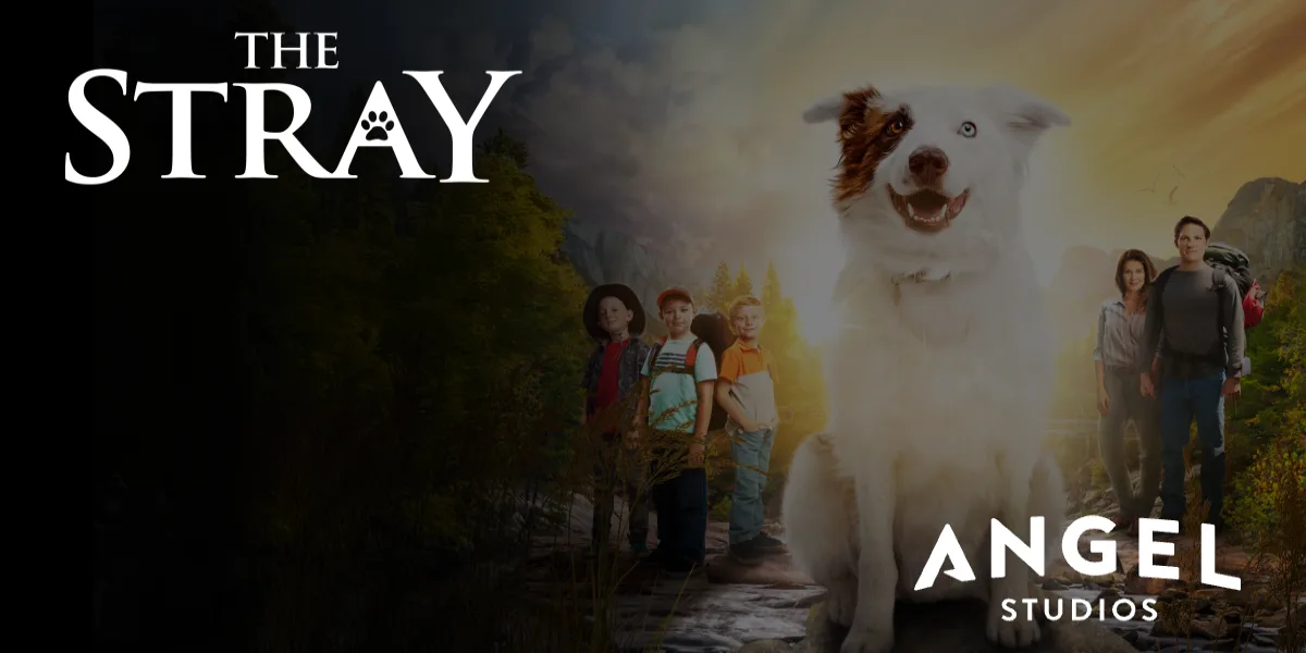 The Stray | Now Streaming for Angel Guild Members | Angel Studios The Stray | Now Streaming for Angel Guild Members | Angel Studios