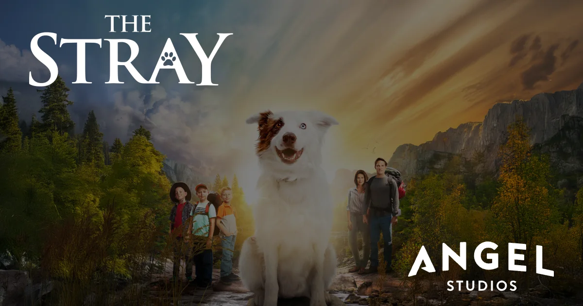 Watch The Stray on Angel