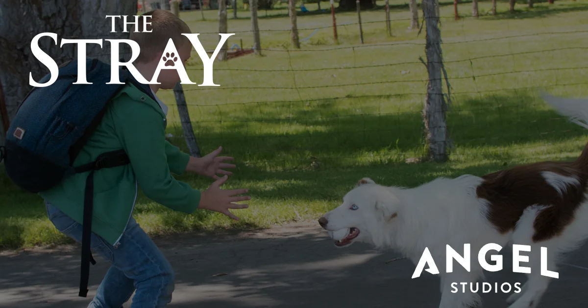 Watch The Stray | The First 15 Minutes on Angel Studios