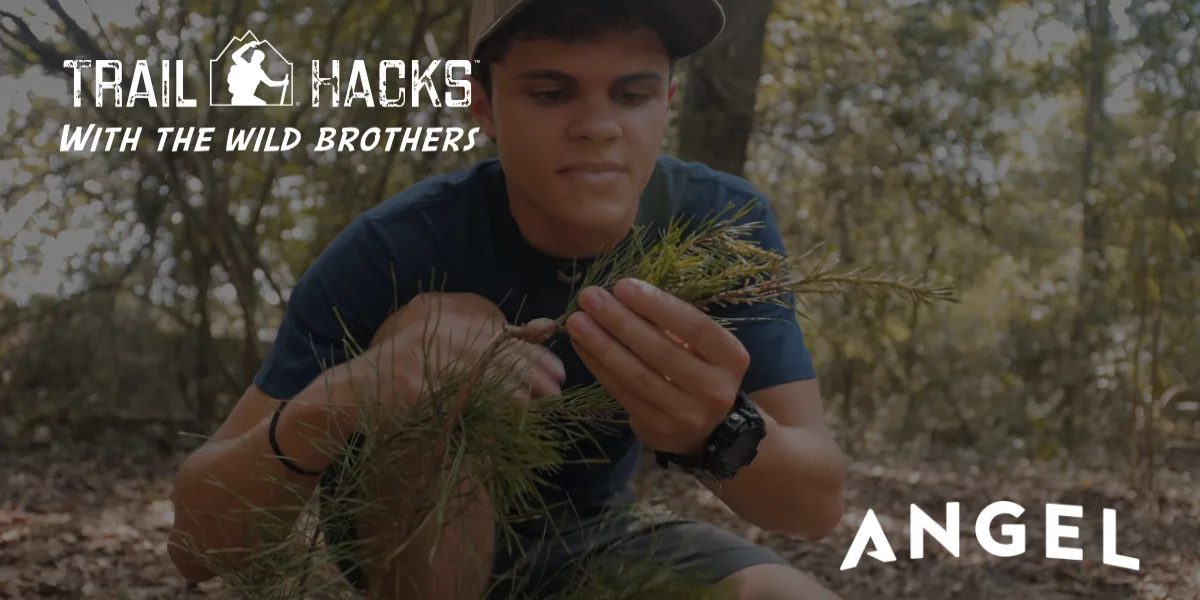 Watch Trail Hacks: With the Wild Brothers S1E23: Pine Nee...