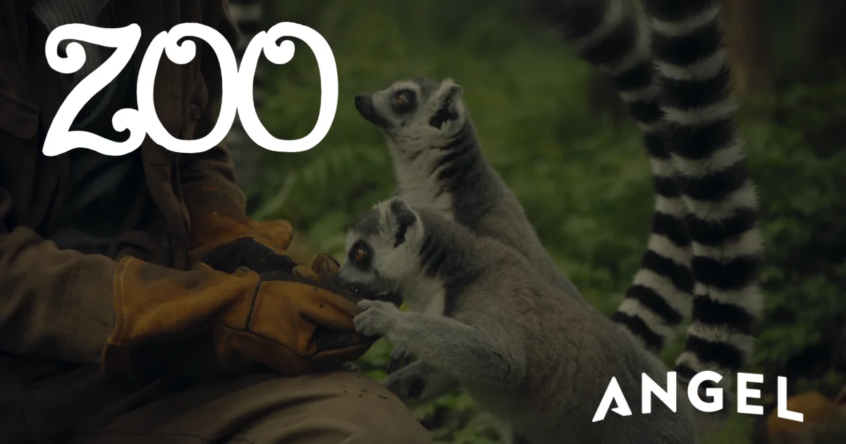 Watch Zoo | The First 17 Minutes on Angel