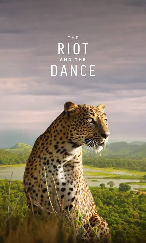 Watch Free Documentaries | Angel Studios