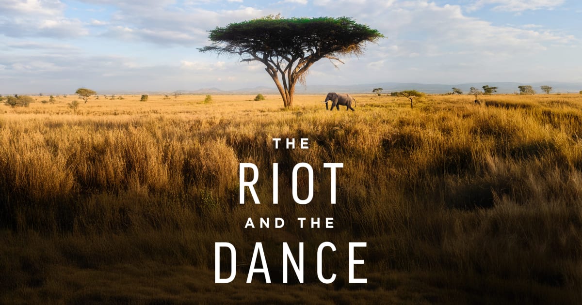 The Riot and the Dance | Official Website | Angel