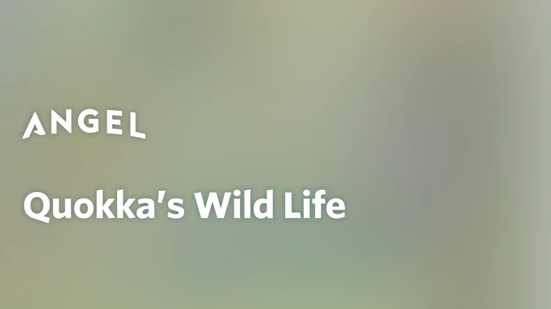 Explore Upcoming Movies & Shows | Angel